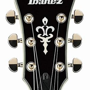 Ibanez AM93ME Artcore Expressionist Macassar Ebony Semi-Hollow Body