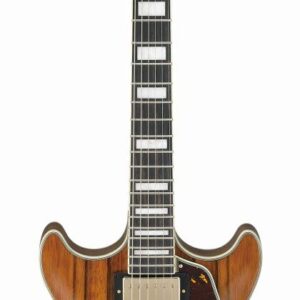 Ibanez AM93ME Artcore Expressionist Macassar Ebony Semi-Hollow Body