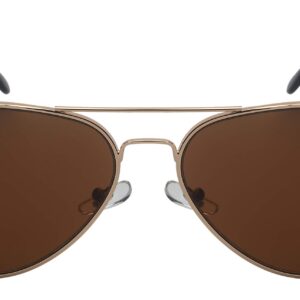 Edge I-Wear 12 Pack Aviators Bulk Sunglass Men Pilot Spring Hinge Wholesale Sunglasses (N25095A-SD)