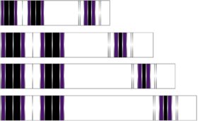 white water archery laminated purple traditional 9 crest arrow wraps 15 pk choose length width (7, 1.4)