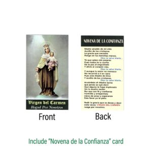 AA Sacred Heart of Jesus Christ and Heart of Jesus and Our Lady of Mount Carmel Leather Scapular (LSWCARD-BRN)