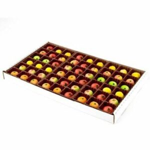 54 piece pack [food] assorted fruits z