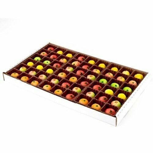 54 Piece Pack [Food] Assorted Fruits Z