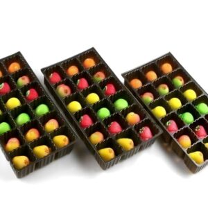 54 Piece Pack [Food] Assorted Fruits Z