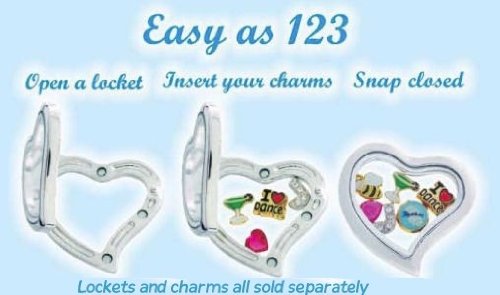 100 Assorted Floating Locket Charms