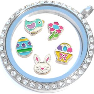 100 Assorted Floating Locket Charms