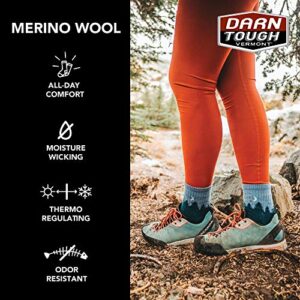 Darn Tough Women's Treeline Micro Crew Midweight with Cushion Hiking Sock (Style 1971) - Blue, Small