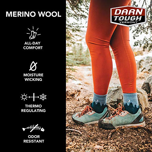 Darn Tough Women's Treeline Micro Crew Midweight with Cushion Hiking Sock (Style 1971) - Blue, Small