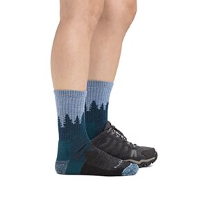 Darn Tough Women's Treeline Micro Crew Midweight with Cushion Hiking Sock (Style 1971) - Blue, Small