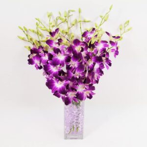 athena’s garden fresh cut orchids purple 10 stems sonia dendrobium orchids flowers with vase and rocks