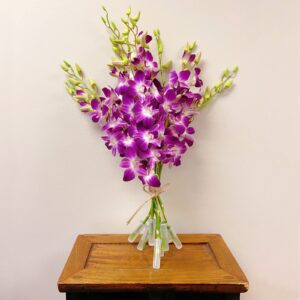 Athena’s Garden Fresh Cut Orchids Purple 10 Stems Sonia Dendrobium Orchids Flowers with Vase and Rocks