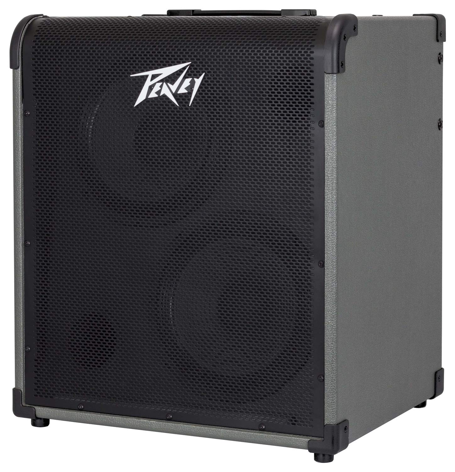 Peavey MAX 300 300-Watt Bass Amp Combo