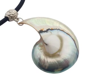 swimmi rare natural open nautilus shell necklace, hand polished pearly nautilus necklace for women, adjustable cord nautilus mother of pearl necklace, ursula necklace jewelry aa419-cr