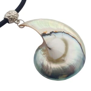 Swimmi Rare Natural Open Nautilus Shell Necklace, Hand Polished Pearly Nautilus Necklace for Women, Adjustable Cord Nautilus Mother of Pearl Necklace, Ursula Necklace Jewelry AA419-CR