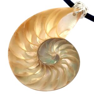 Swimmi Rare Natural Open Nautilus Shell Necklace, Hand Polished Pearly Nautilus Necklace for Women, Adjustable Cord Nautilus Mother of Pearl Necklace, Ursula Necklace Jewelry AA419-CR