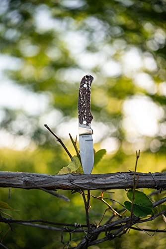 Uncle Henry unisex adult UH PH2N Next Gen (CP) Knife, White/Brown, One Size US