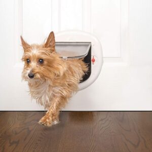 premier pet locking pet door - 4-way lock, for pets up to 25 lbs, energy efficient with weather stripping, clear hard flap, easy diy installation