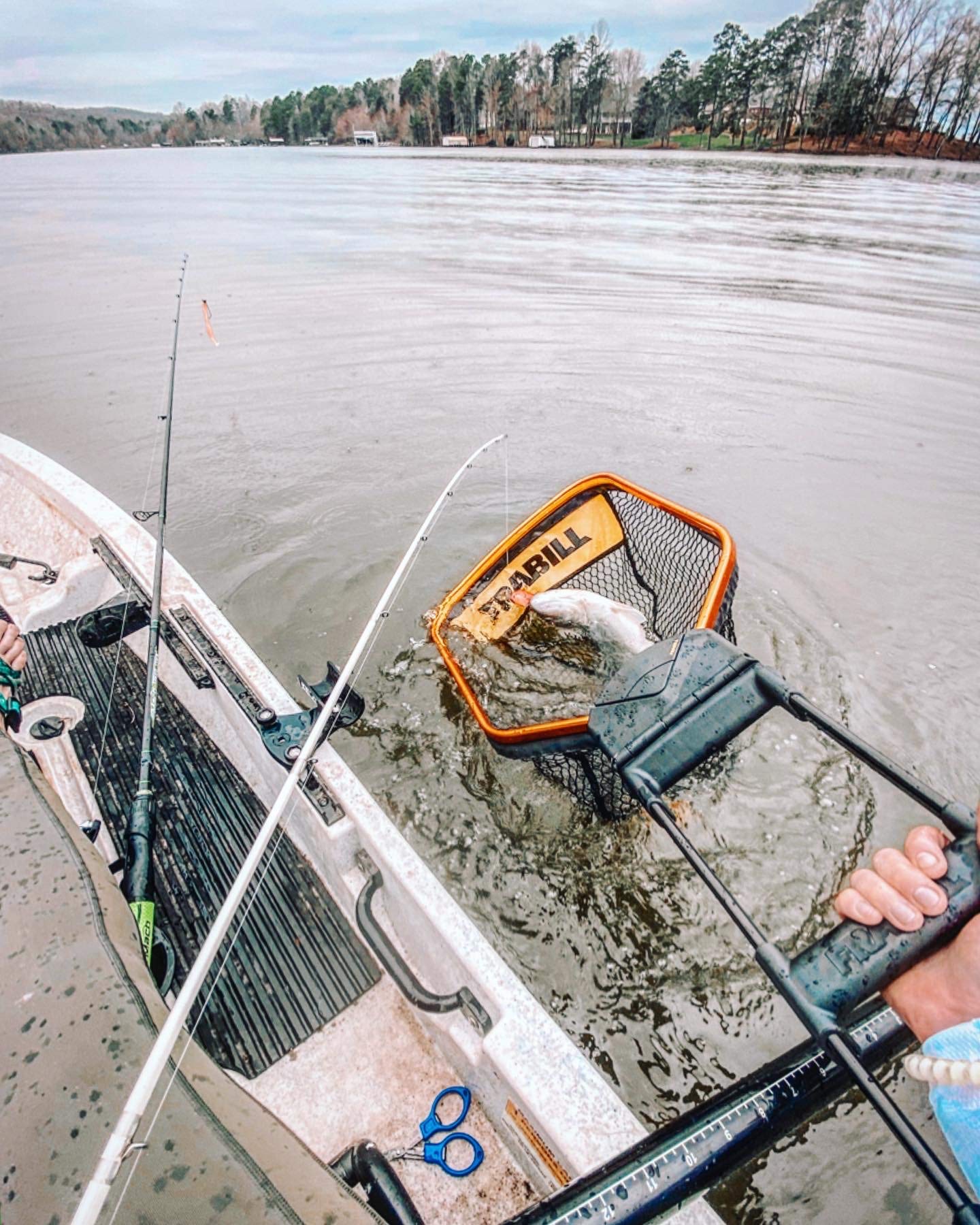 Frabill Trophy Haul Bearclaw 1418 Fishing Net, One Hand Designed Landing Net with built in Light, Black and Gold (FRBNX14L)