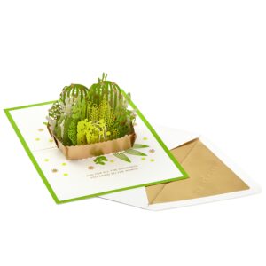 hallmark signature paper wonder pop up thank you card, succulents (nurses day card, teacher appreciation, healthcare worker gift) (1299rzh1132)