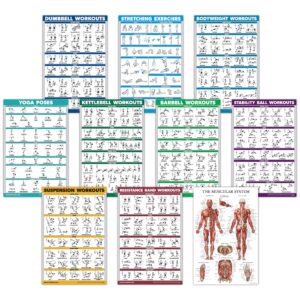 10 pack - exercise workout poster set - dumbbell, suspension, kettlebell, resistance bands, stretching, bodyweight, barbell, yoga poses, exercise ball, muscular system chart (laminated, 18" x 27")