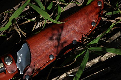 Old Timer 15OTCP Deerslayer 10.5in High Carbon S.S. Full Tang Fixed Blade Knife with 5.6in Clip Point Blade, Sawcut Handle, and Leather Belt Sheath for Hunting, Camping, Skinning, EDC, and Outdoor