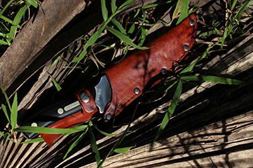 Old Timer 15OTCP Deerslayer 10.5in High Carbon S.S. Full Tang Fixed Blade Knife with 5.6in Clip Point Blade, Sawcut Handle, and Leather Belt Sheath for Hunting, Camping, Skinning, EDC, and Outdoor