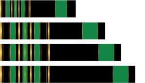 white water archery laminated black background green stripe traditional 17 crest arrow wraps 15 pk choose length width (7, 75)