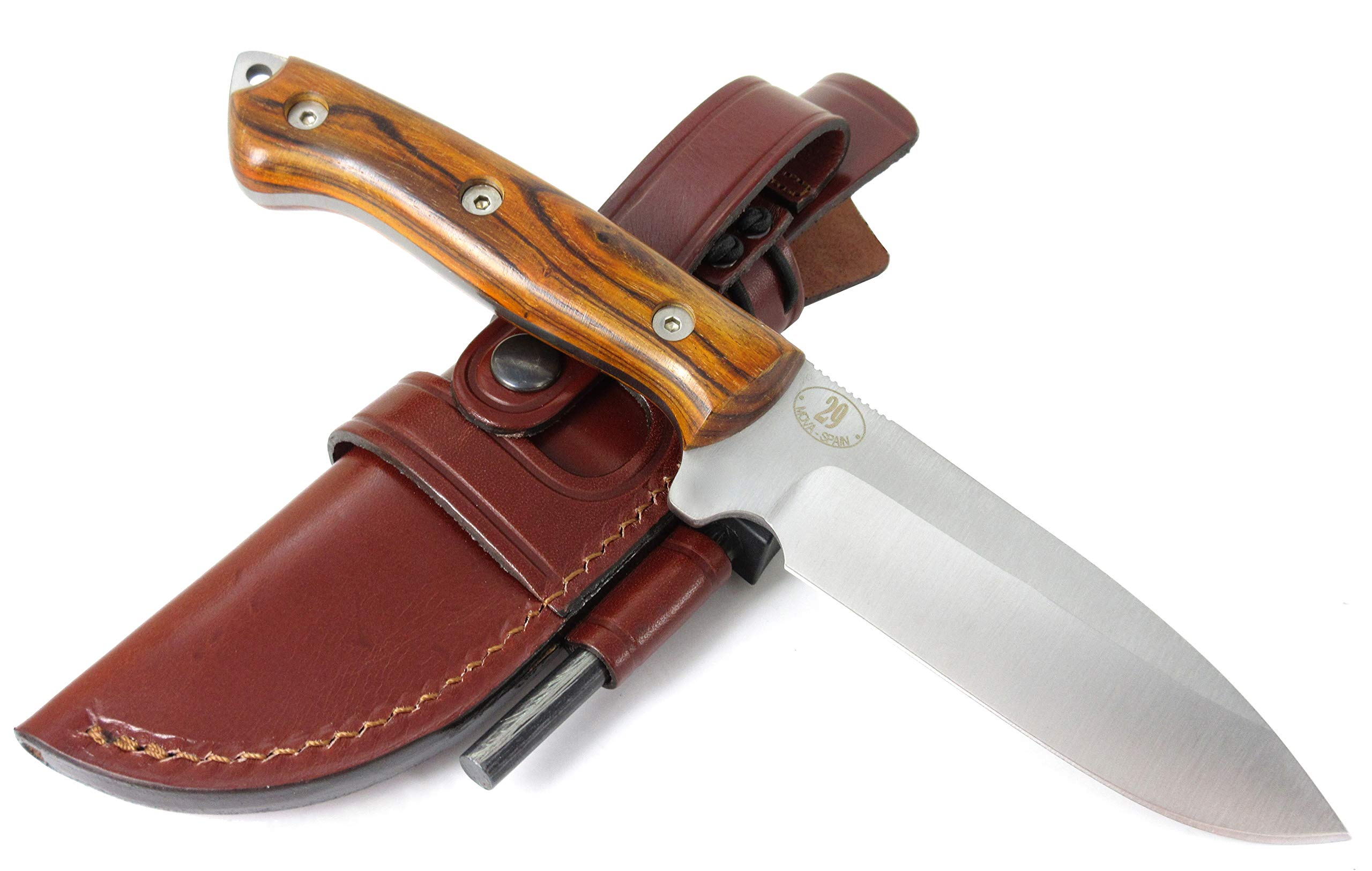 JEO-TEC Nº29 Bushcraft Survival Hunting Camping Knife - MOVA-58 Stainless Steel - Cocobolo Wood Handle - 10'' Overall - Multi-positioned Leather Sheath - Handmade in Spain