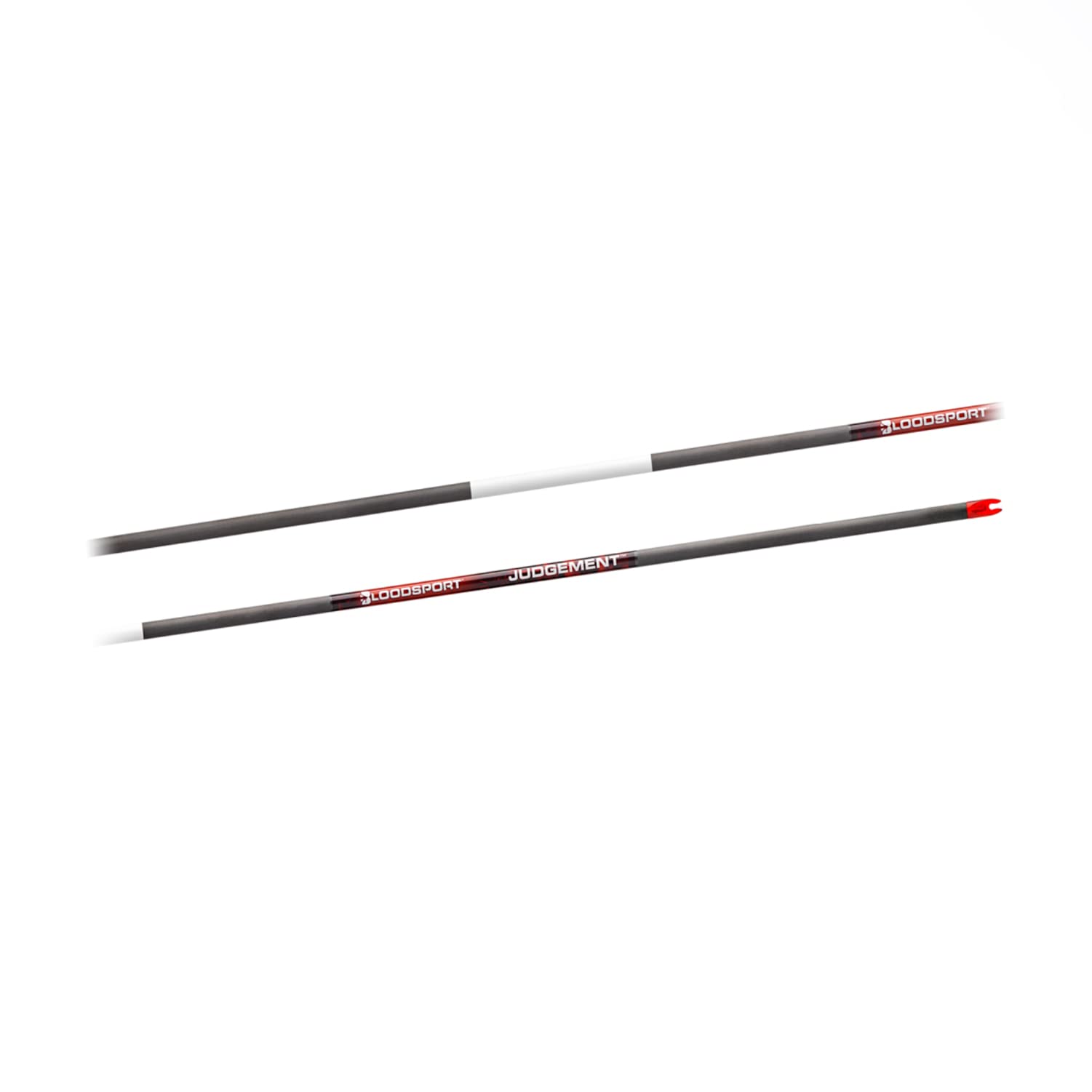 BLOODSPORT Judgement Bare Shaft Lightweight Precise Durable Carbon Hunting Arrow for Compound Bow - 31" Length, 244" Standard-Diameter, 001" Straightness, 12 Pack, 300 Spine