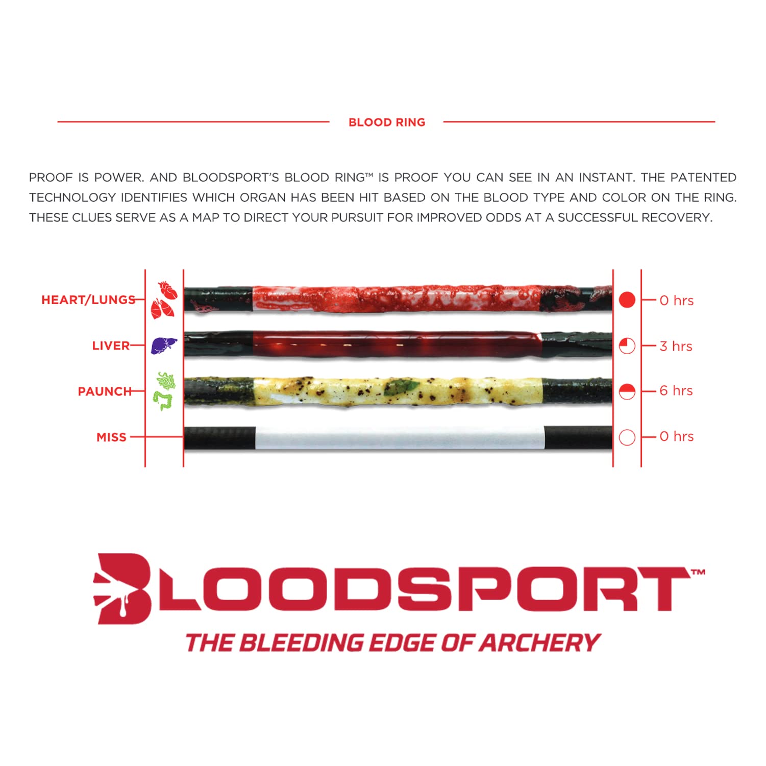 BLOODSPORT Judgement Bare Shaft Lightweight Precise Durable Carbon Hunting Arrow for Compound Bow - 31" Length, 244" Standard-Diameter, 001" Straightness, 12 Pack, 300 Spine