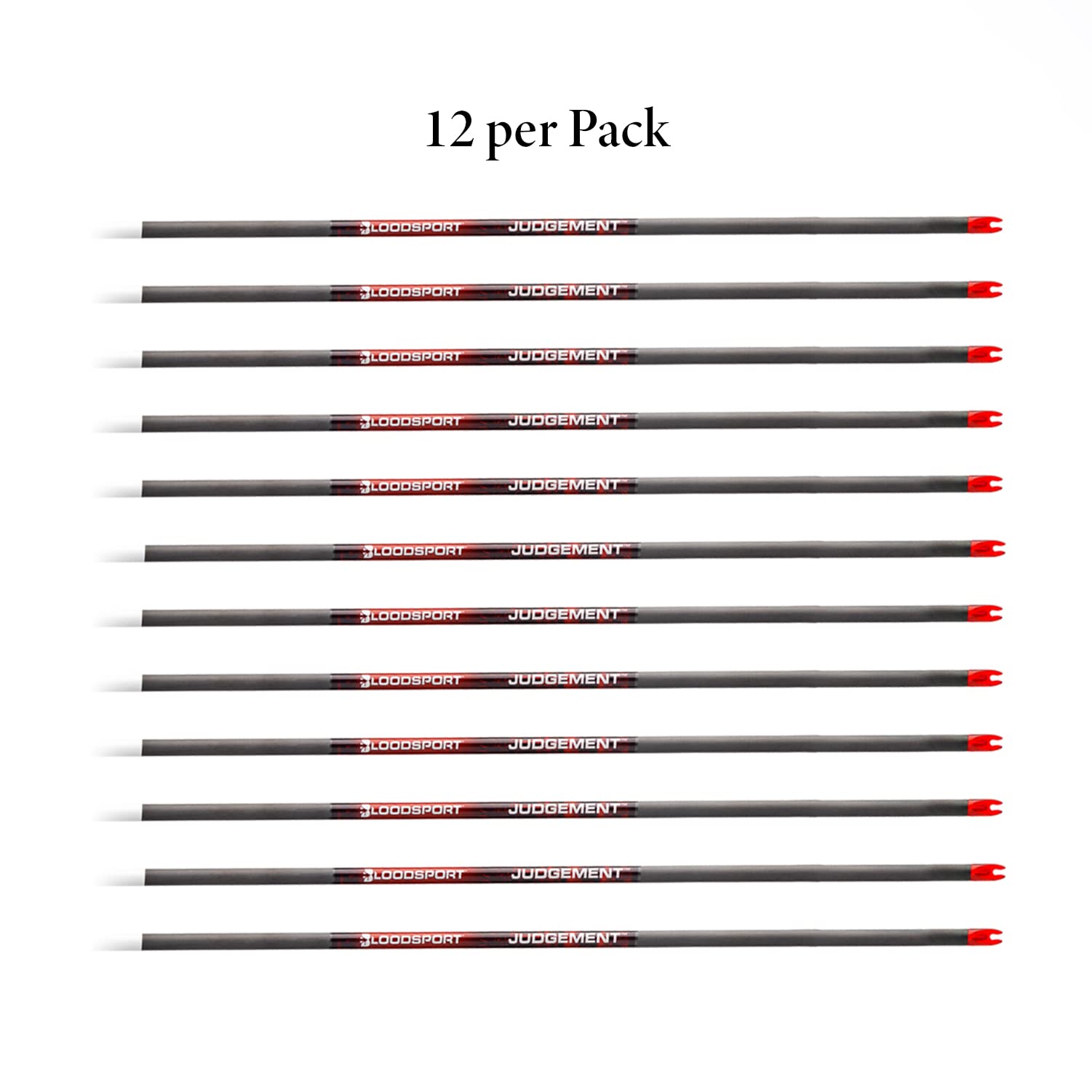 BLOODSPORT Judgement Bare Shaft Lightweight Precise Durable Carbon Hunting Arrow for Compound Bow - 31" Length, 244" Standard-Diameter, 001" Straightness, 12 Pack, 300 Spine