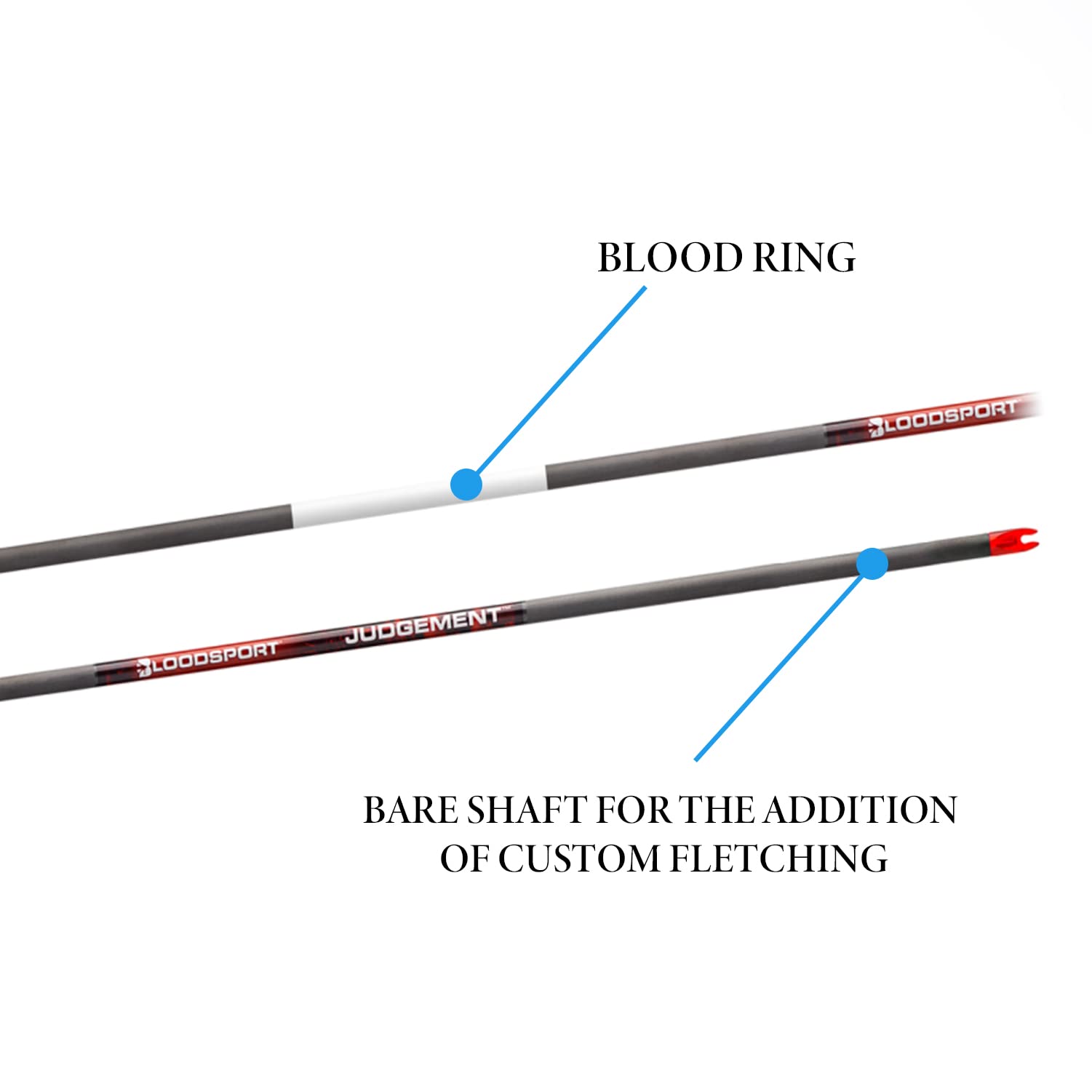 BLOODSPORT Judgement Bare Shaft Lightweight Precise Durable Carbon Hunting Arrow for Compound Bow - 31" Length, 244" Standard-Diameter, 001" Straightness, 12 Pack, 300 Spine