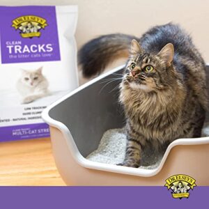 Dr. Elsey's Premium Clumping Cat Litter - Clean Tracks - Low Dust, Low Tracking, Hard Clumping, Superior Odor Control, Unscented & Natural Ingredients 40 LBS