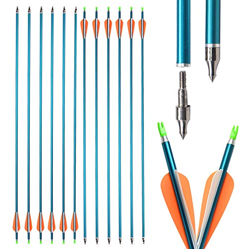 SHARROW 31'' Aluminum Arrows Spine 500 Hunting Targeting Arrow Practice Archery for Compound Bow Recurve Bow