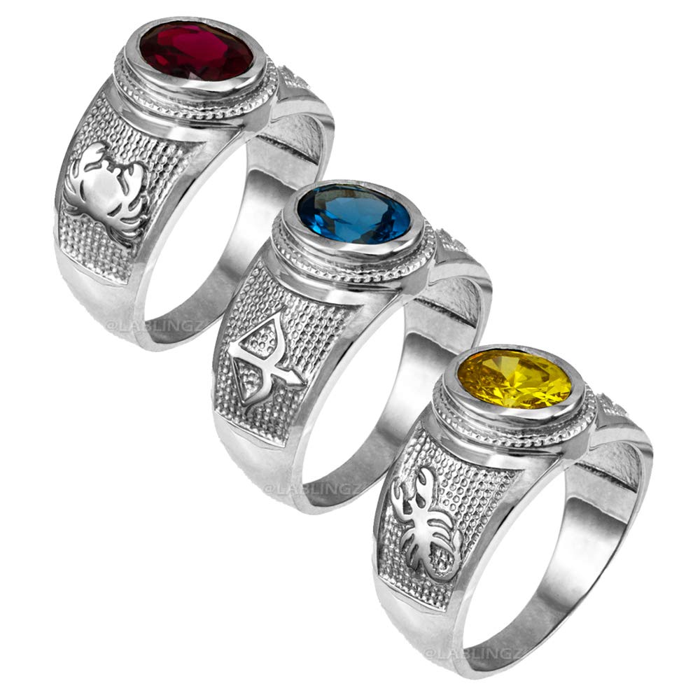 Zodiac Sign Birthstone CZ Ring in Sterling Silver (Capricorn, Size 9.5)