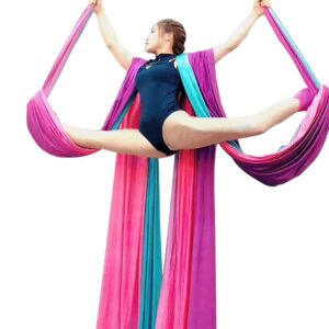 Dasking Deluxe 5m/set Yoga Swing Aerial Yoga Hammock kit with Daisy Chains O-ring, Fabric & Guide (Multicolor-G)