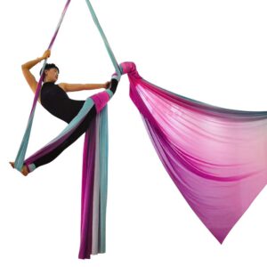 Dasking Deluxe 5m/set Yoga Swing Aerial Yoga Hammock kit with Daisy Chains O-ring, Fabric & Guide (Multicolor-G)