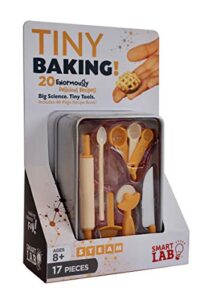 smartlab toys tiny baking with 20 delicious tiny recipes. big science. tiny tools.