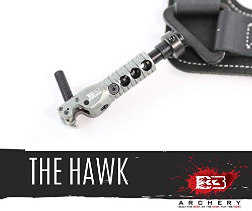 B3 Archery HAWK (Swivel Stem)