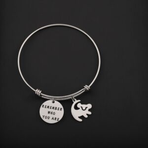 TGBJE Remember Who You Are Bracelet Inspired Bangle Lion King Gift for Friend (Lion King bangle)