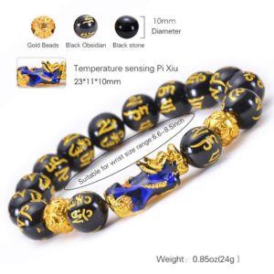 Feng Shui 10mm Hand Carved Mantra Bead Bracelet with Golden Coins Bead and Color Changed Pi Xiu/Pi Yao Attract Wealth and Good Luck