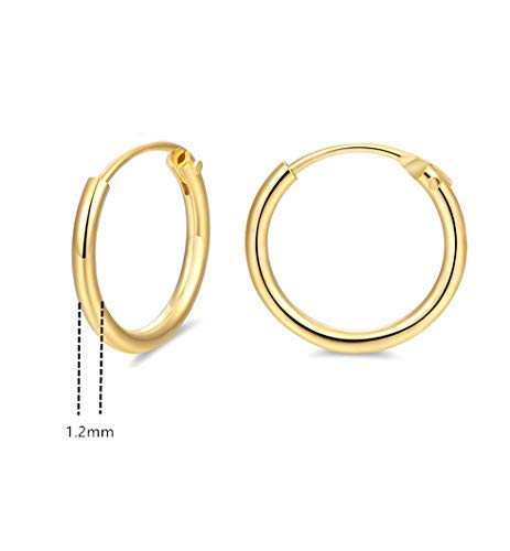 Hoop Earring 14K Gold Plated S925 Sterling Silver Endless Hoop Earring Set for Women Men 8mm-12mm (4 pairs 14K gold 8MM)