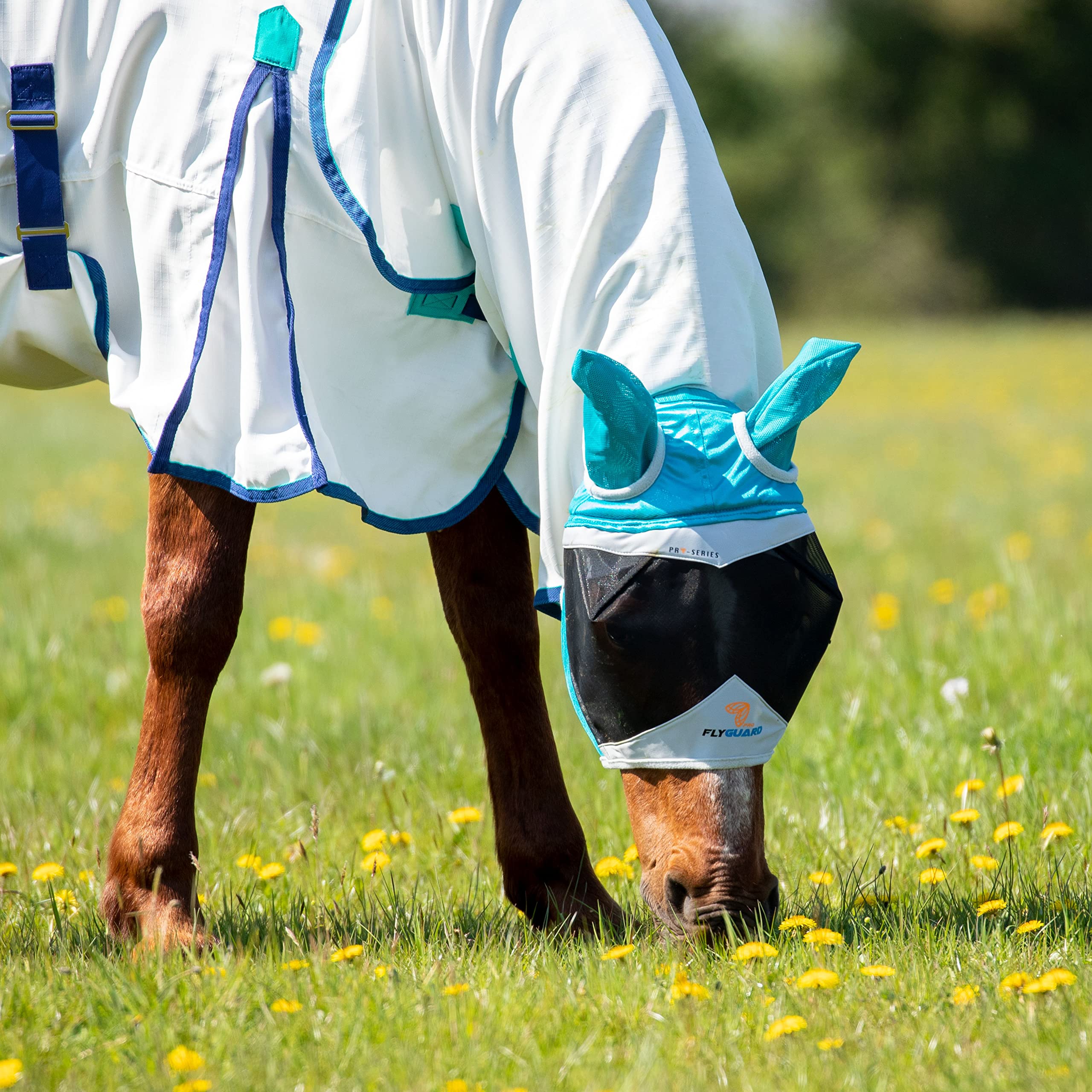 Shires Fine Mesh Horse Equine Fly Mask with Ears 60% UV Protection (Full, Teal)