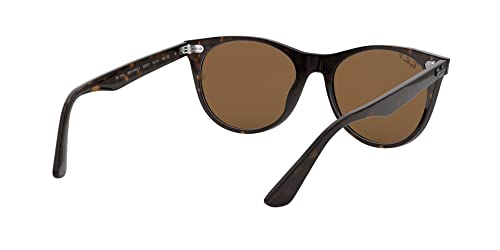 Ray-Ban RB2185 Wayfarer II Round Sunglasses, Tortoise/B-15 Brown Polarized, 52 mm