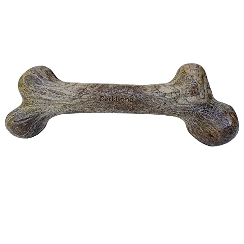 Pet Qwerks Dinosaur BarkBone - Nylon Dog Bone for Aggressive Chewers - Bacon Flavor - 6.5"