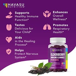 Elderberry Gummies for Kids with Zinc and Vitamin C | Potent, Herbal Immune Support for Kids with Antioxidants to Support Immune Defense | 60 Vegan Elderberry Vitamin C and Zinc Kids Immune Gummies