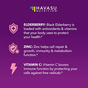 Elderberry Gummies for Kids with Zinc and Vitamin C | Potent, Herbal Immune Support for Kids with Antioxidants to Support Immune Defense | 60 Vegan Elderberry Vitamin C and Zinc Kids Immune Gummies