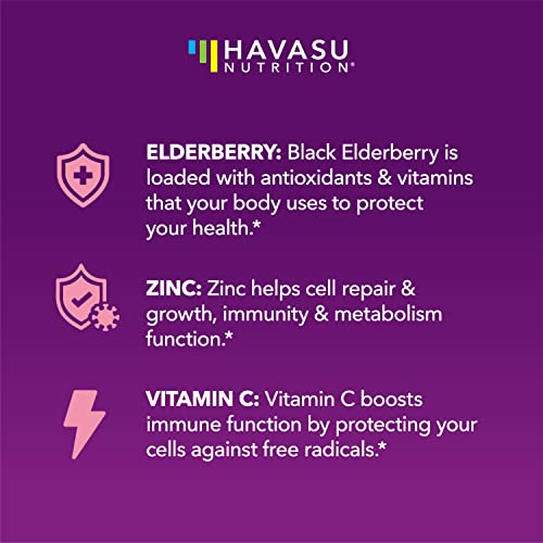 Elderberry Gummies for Kids with Zinc and Vitamin C | Potent, Herbal Immune Support for Kids with Antioxidants to Support Immune Defense | 60 Vegan Elderberry Vitamin C and Zinc Kids Immune Gummies