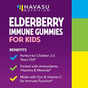 Elderberry Gummies for Kids with Zinc and Vitamin C | Potent, Herbal Immune Support for Kids with Antioxidants to Support Immune Defense | 60 Vegan Elderberry Vitamin C and Zinc Kids Immune Gummies