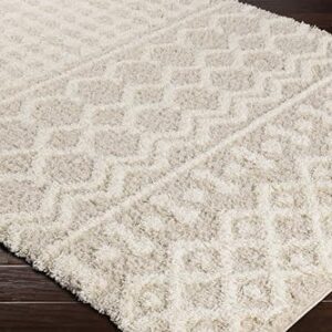 Livabliss Hapsburg Moroccan Shag Area Rug, 5'3" x 7'3", Beige